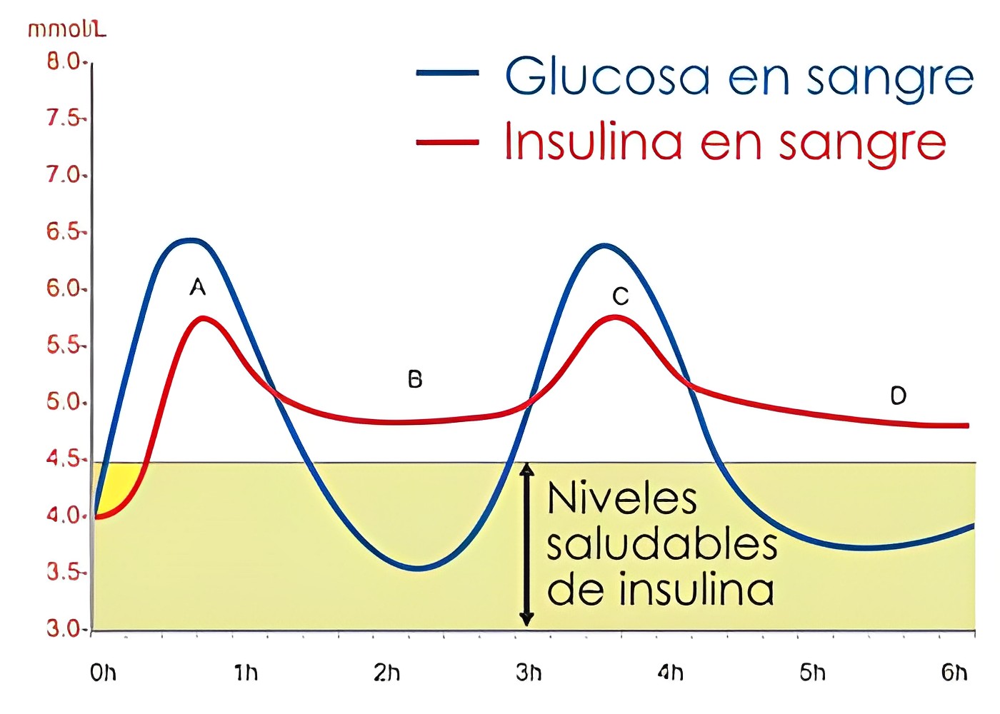 ¿Existen umbrales relevantes de índices independientes de insulina a lo ...